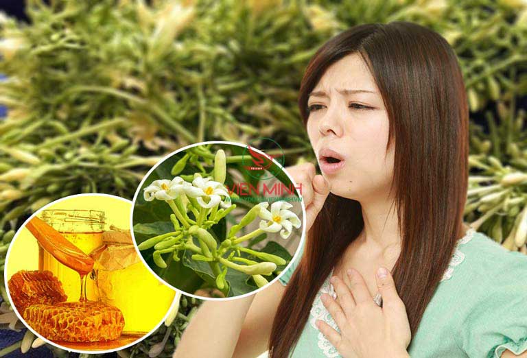 H?????ng D???n C??ch L??m Hoa ??u ????? ?????c Ng??m M???t Ong ????n Gi???n T???i Nh?? - Y D ...